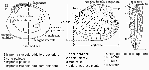 Appunti Speleo