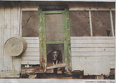 Margareta Jacobs, Watercolor classes