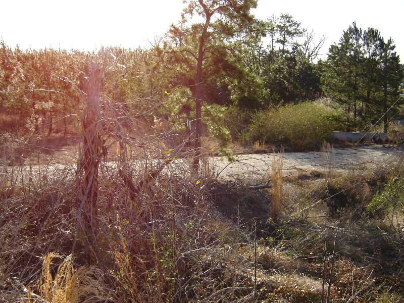 Harmony Church, Fort Benning, 1991