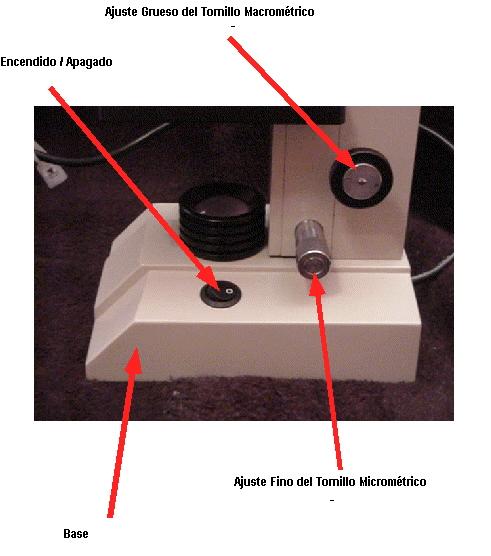 Microscope_Features_and_Care