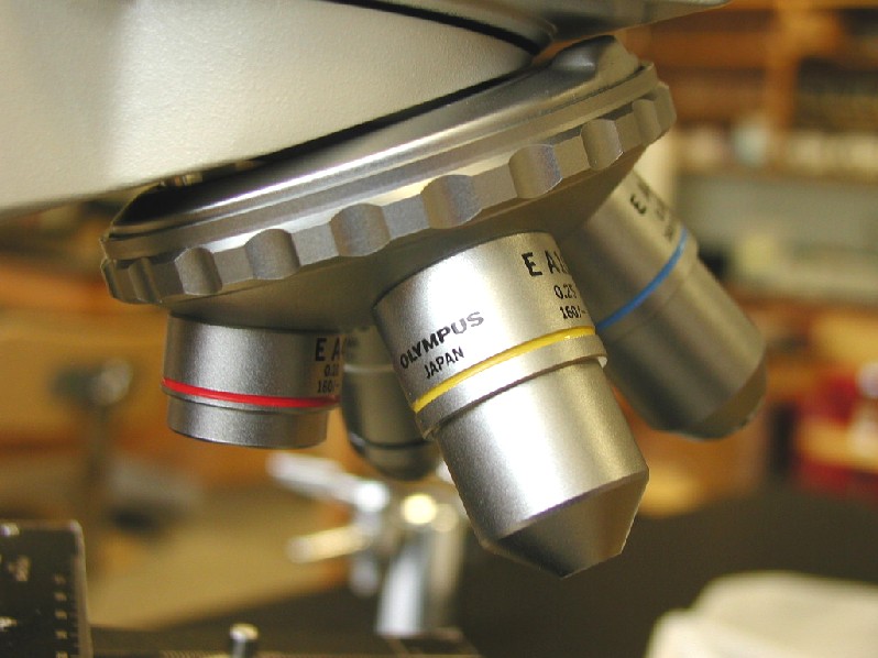 Microscope_Features_and_Care