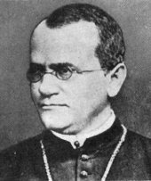 History of the Medish Race