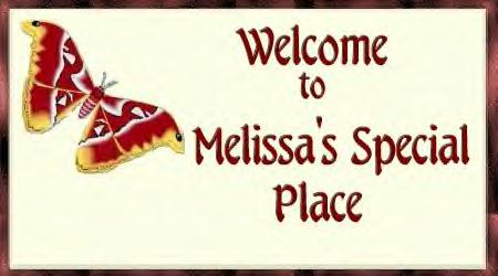 Melissa's Special Place - A Special Thanks to Ladycare