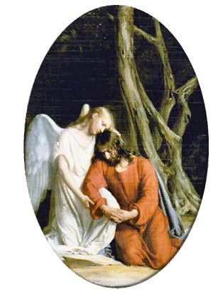 Los Misterios Dolorosos - Jesús me Acompaña a Través del Sufrimiento