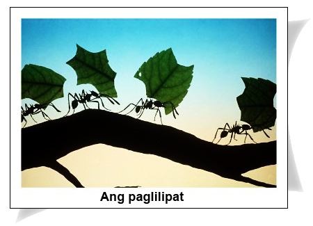 Istoryan ng mga Langgam