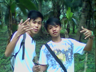 My Friends