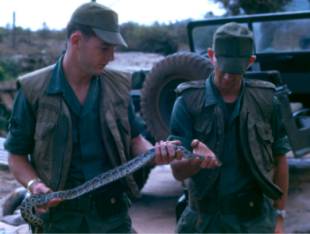 Military Police of the Vietnam War