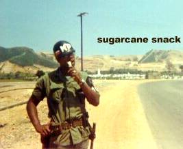 "For The Troops",Military Police of the Vietnam War