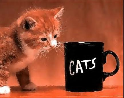 Mistacor's Centre Of Operation