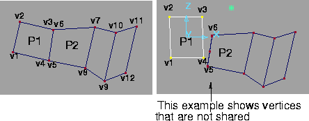 Special Cases in Polygonal Geometry