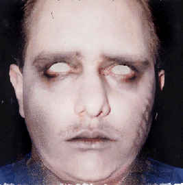 Zombies, By Monster FX