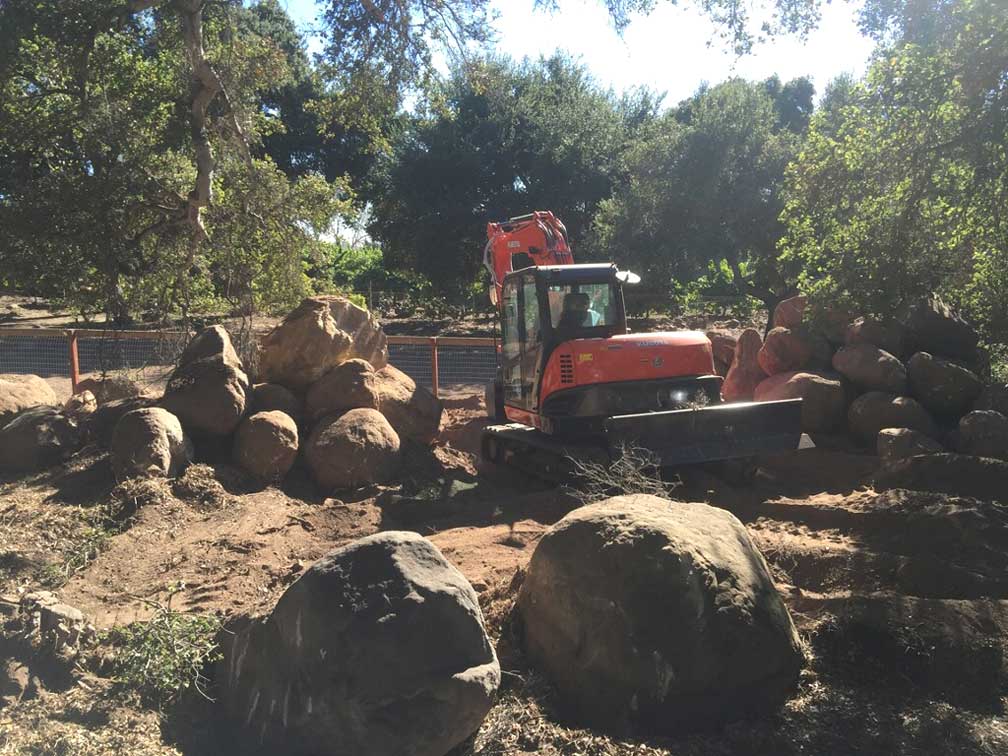 Toms Tree, Tractor, and Hauling
