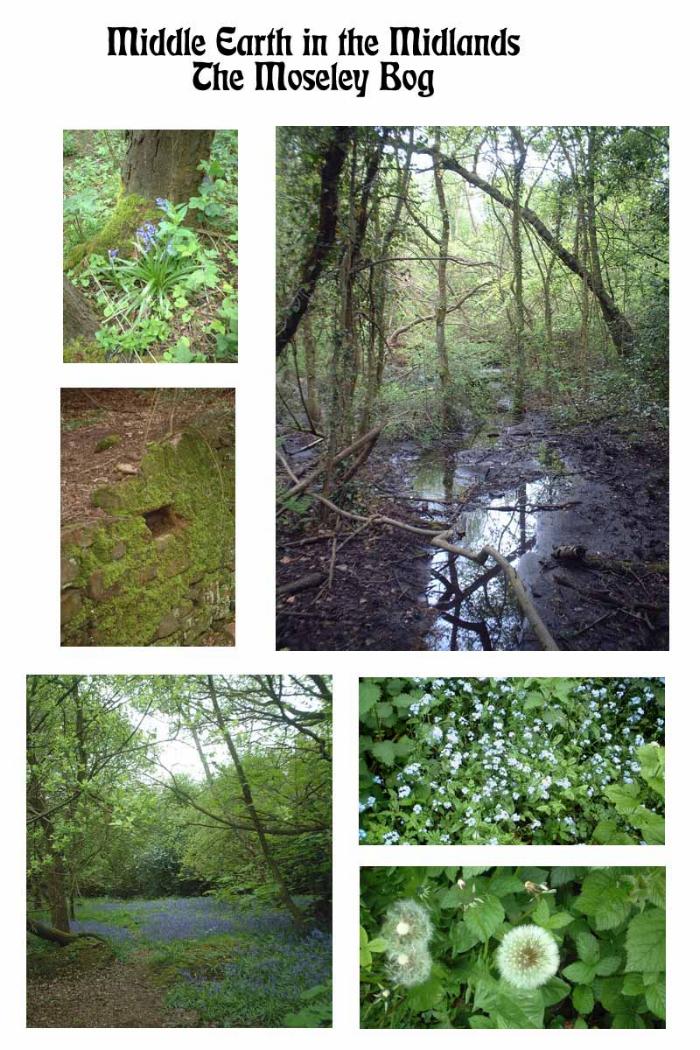 Tolkien Weekend, June 2001