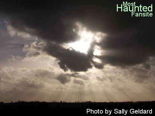 Photo by Sally Geldard