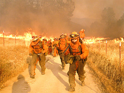 firefighter hero's
