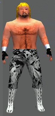 WCW CAW - Michael P.S. Hayes