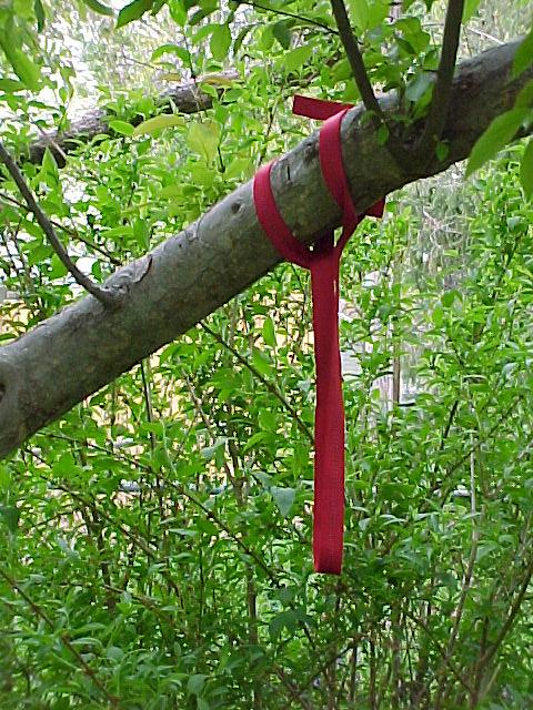 How To Rappel Safely