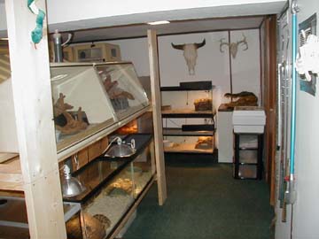 Hosted by www.Geocities.ws