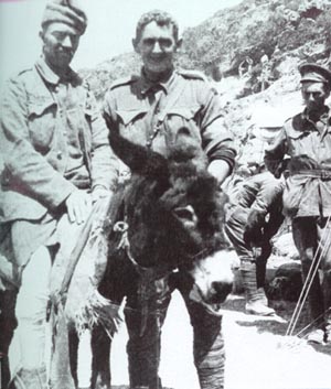 SIMPSON AND HIS DONKEY