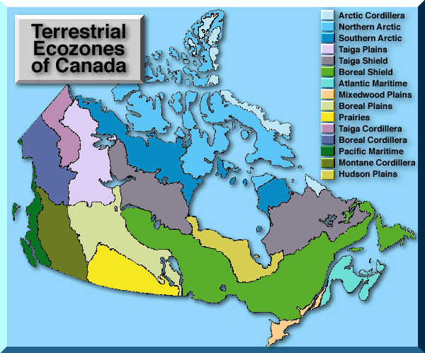 Ecozones of Canada