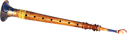 Musical Instruments of India