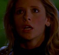 Buffy the Vampire Slayer : Into the Woods