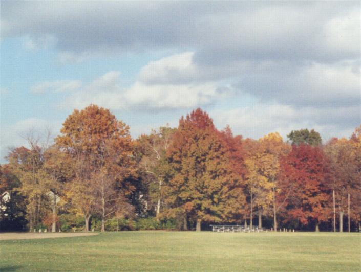 Faurot Park Page Three