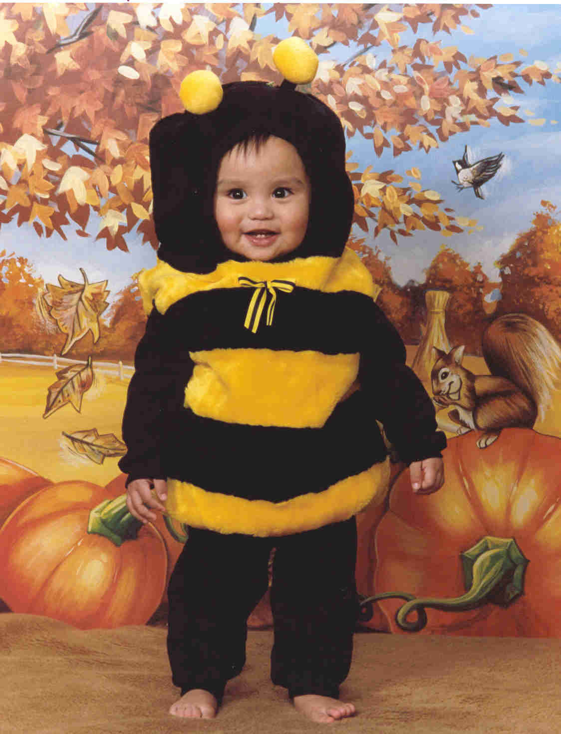 My Bee Portraits