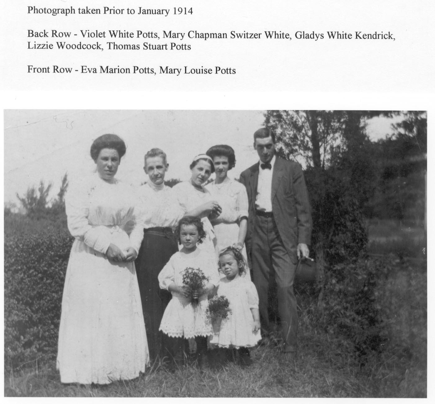 Woodcock Photos page 6