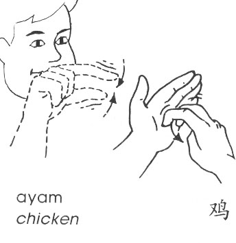 Sign Language