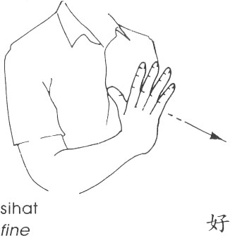 Sign Language