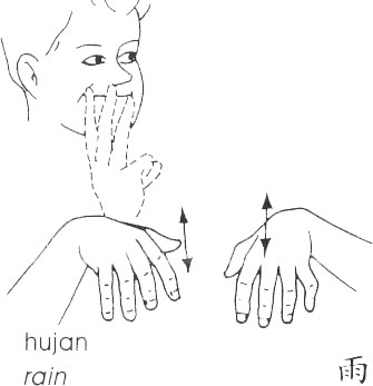 Sign Language