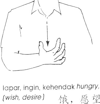 Sign Language