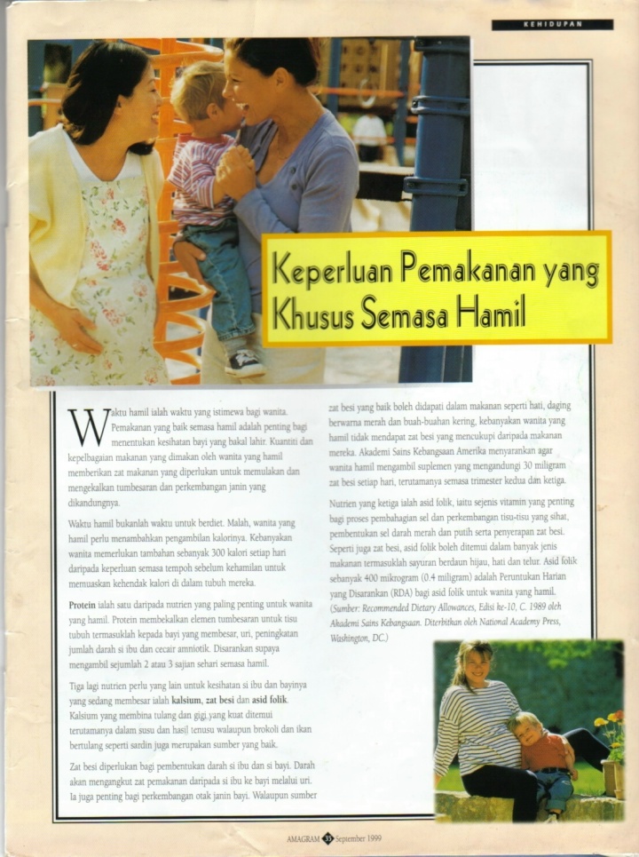pemakanankhususmasahamil