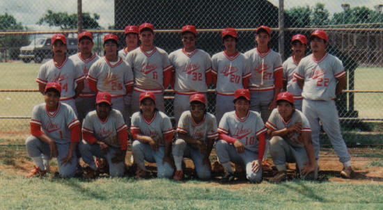 BaseballPalomino1988