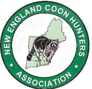 index [www.geocities.ws]