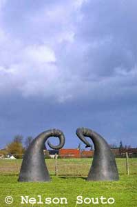 Galería de fotografías