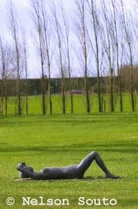 Galería de fotografías