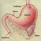 InformationHighwayBloat