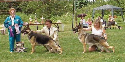 Ch. Bobamber's Desert Storm OVC H&E