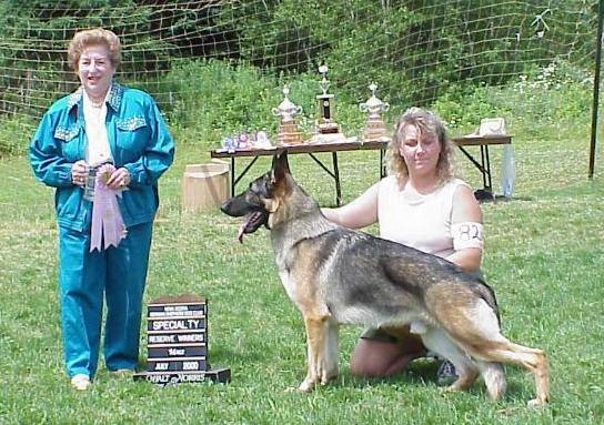 Ch. Bobamber's Desert Storm OVC H&E