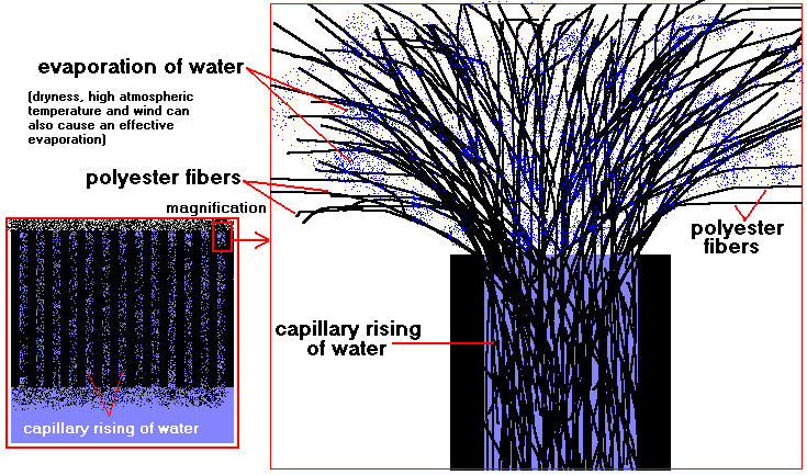 Energy from capillary effect in the presence of solar light