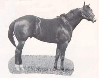 MR JOE GLO - AQHA # 556,944 1968 black stallion.