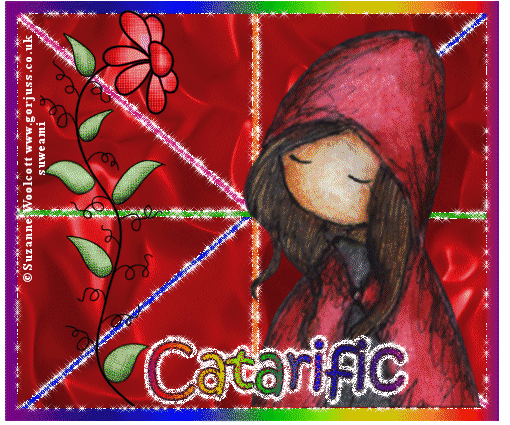 Constellation Fast Track Tag