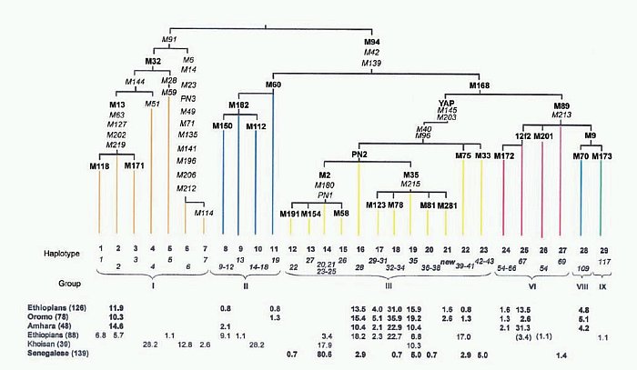 a- Research Notes2 on the Nile Valley peoples
