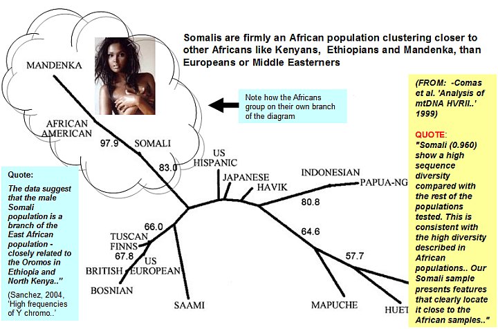 Ethiopian and East African population studies - Keita - Egypt- Nubia ...