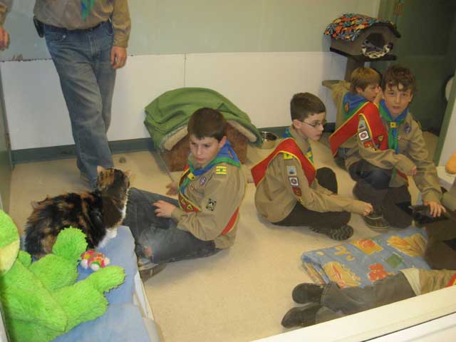 Scouts Canada: 8th Newmarket Cubs