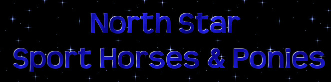 Welcome to North Star Stables Arabians and Ponies!