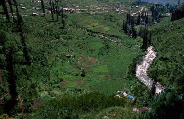 Kothi, near Manali: Travel Photos of India