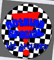 Nothing Special! -- The Groupies